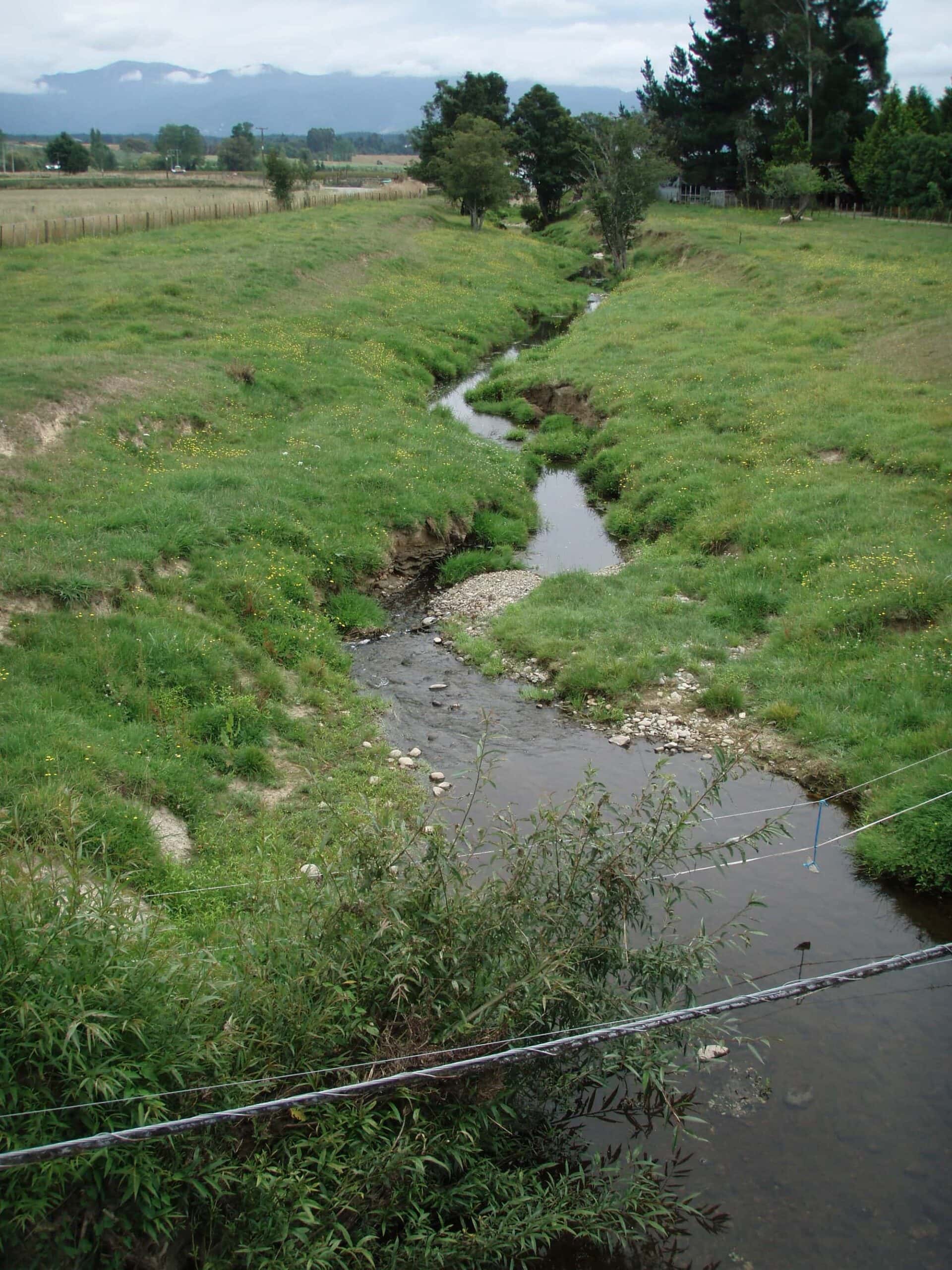 Restoring the Moutere - restoration of ecosystems, wetlands