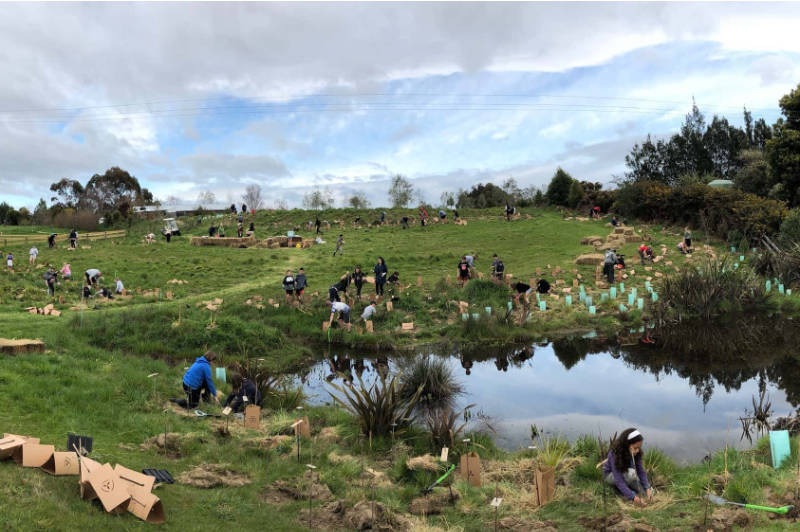 Tasman Environmental Trust