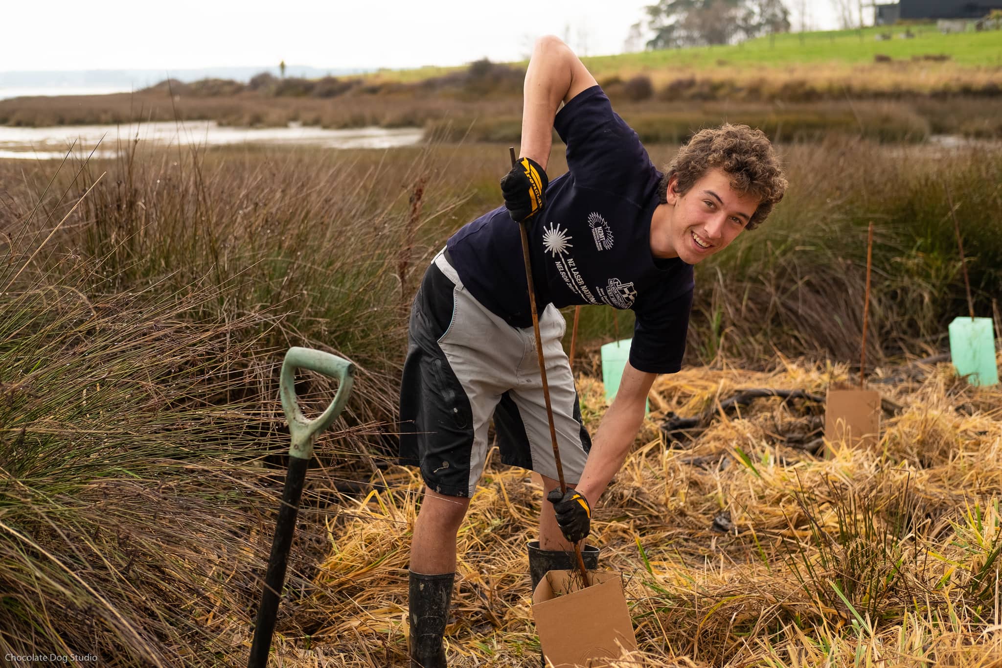 A guide to planting native plants | TET