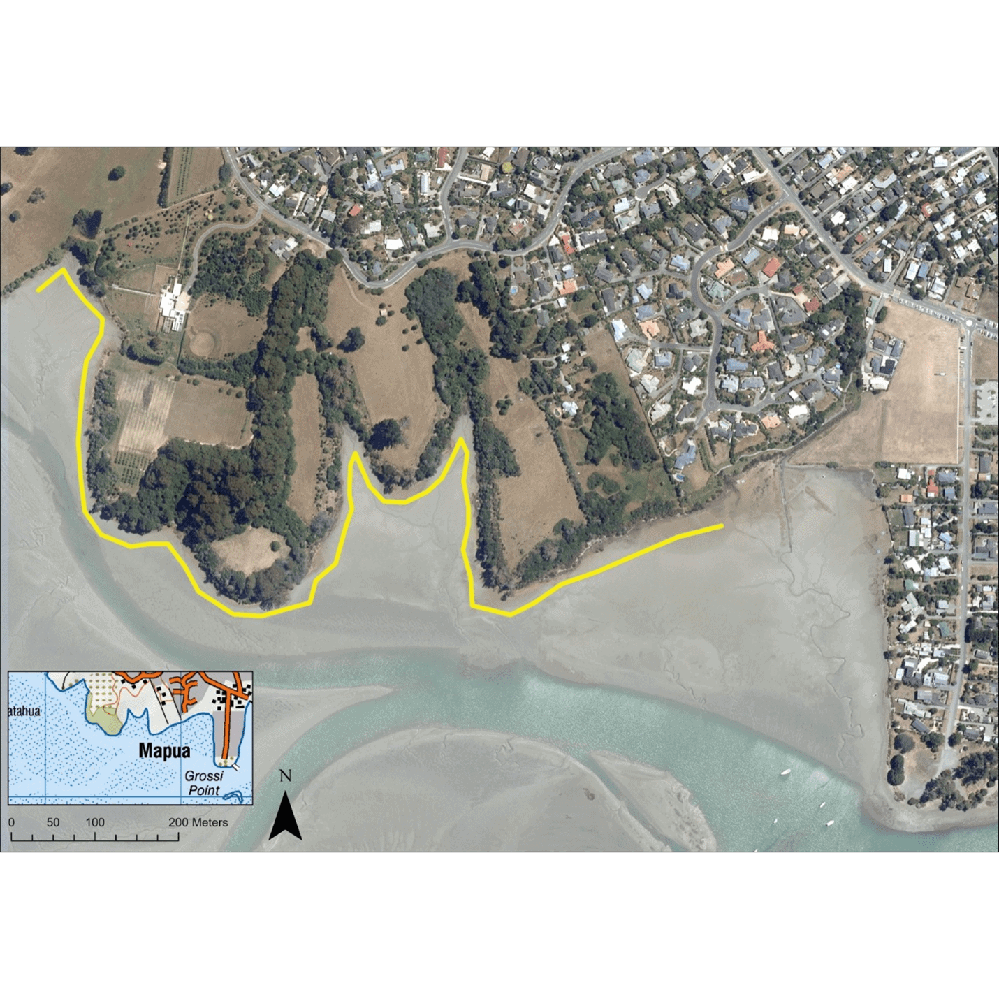 Banded Rail and red bands | Tasman Environmental Trust