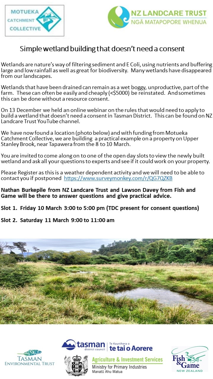 Simple Wetlands that don’t need a consent – Tasman Environmental Trust