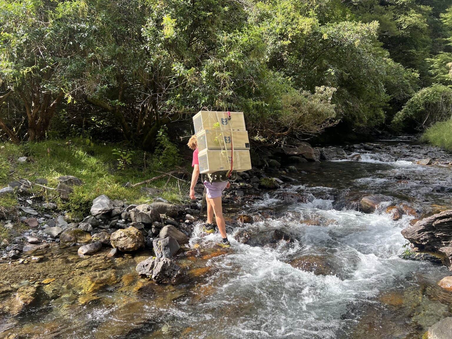 Tasman Environmental Trust