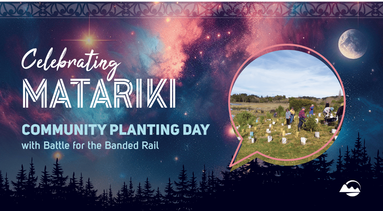 Matariki Planting - Battle for the Banded Rail
